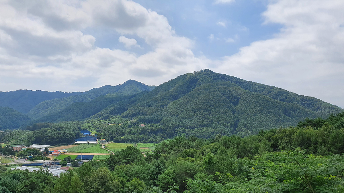 여름 휴가 여행 1일차 강원도 고성 마차진 해수욕장 - rhinoc.net